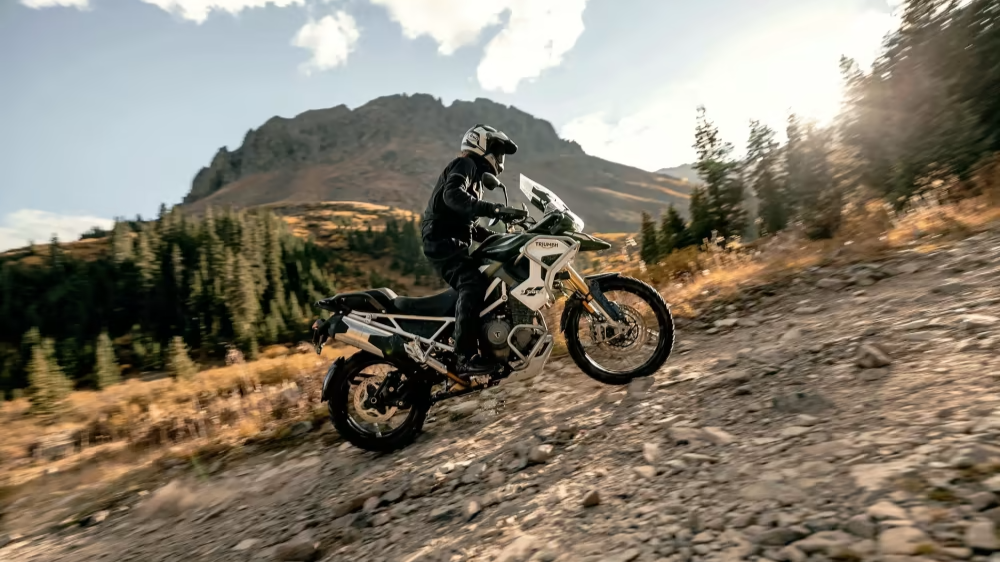 Tiger -Triumph Motorcycles - Schedule a Test Ride – Moto Montreal Cycle