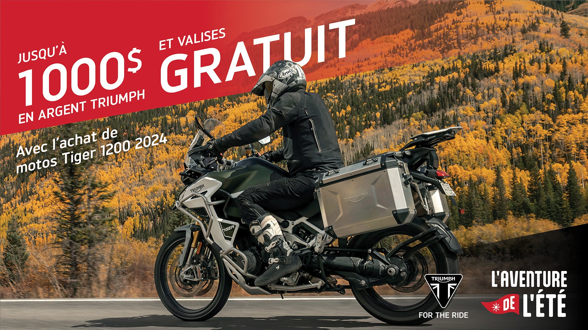 Bienvenue chez Moto Montréal – Moto Montreal Cycle